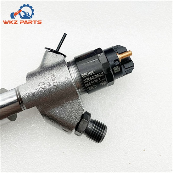0445120344 Common Rail Fuel Injector 612640080022 Weichai WP10 WP12