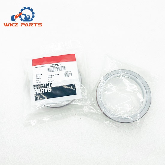 3921927 Crankshaft Oil Seal for Cummins 4025270